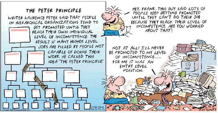 Il principio di Peter | Studio Legale Bottino – Bottino Law Firm